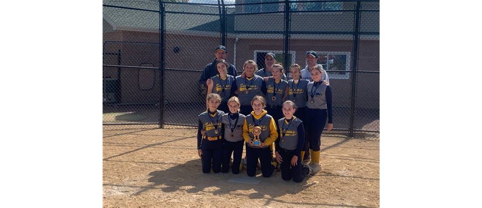 Old Forge Lions Little League > Home